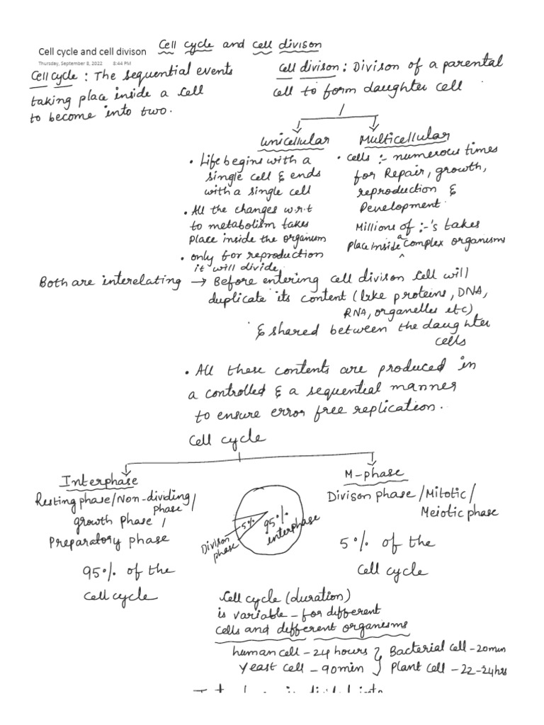 Cell Cycle & Cell Division | PDF