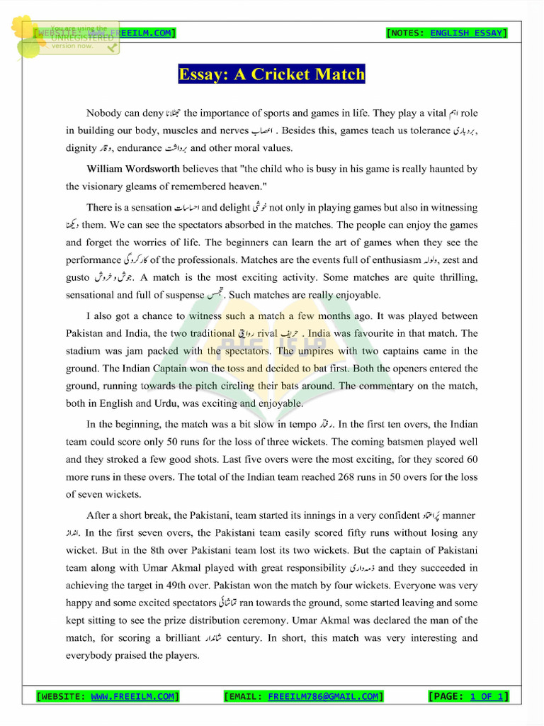 A Cricket Match | PDF