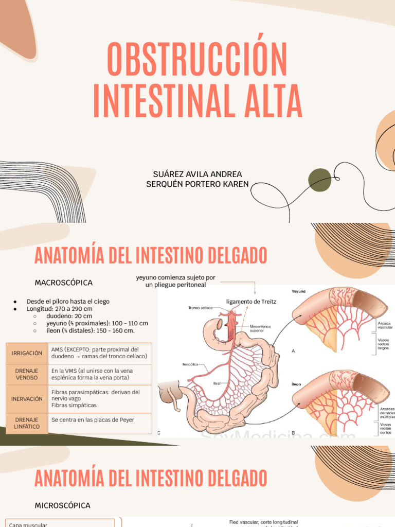 Obstrucción Intestinal Alta Pdf Medicina Clinica Gastroenterología