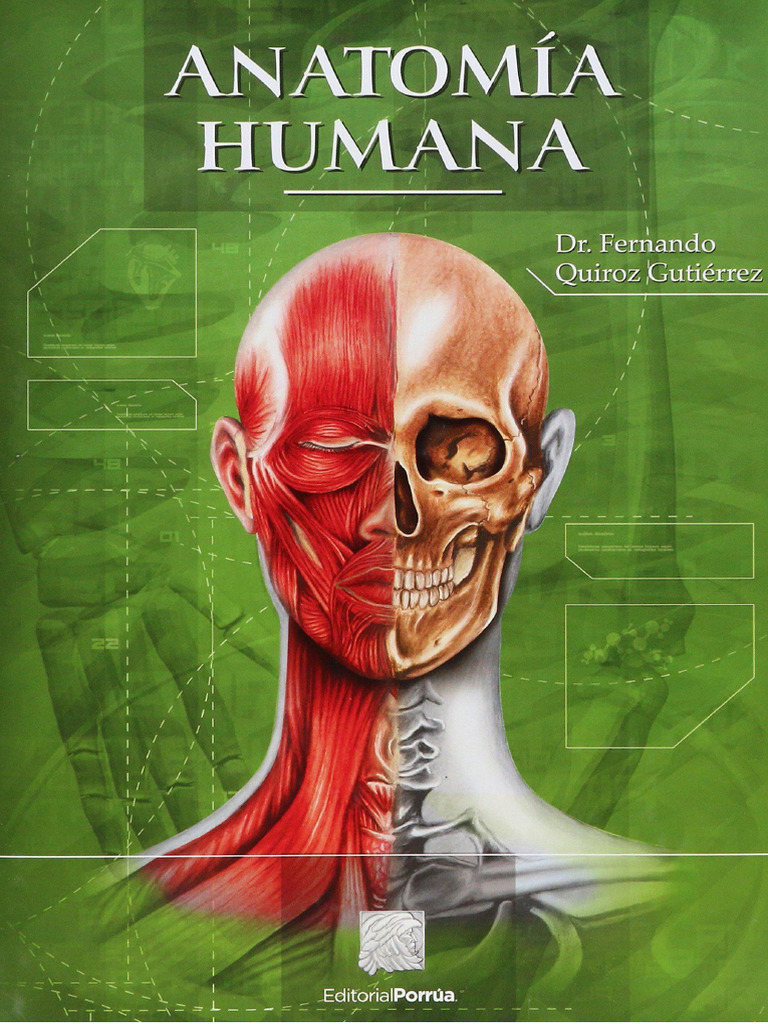 Anatomia Humana (Tomo 1) | PDF