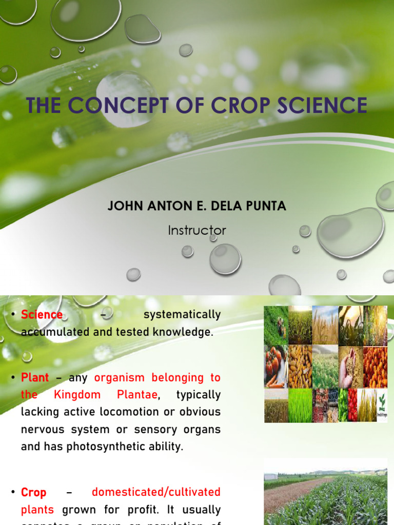 Introduction to Crop Science Concepts | PDF | Plants | Perennial Plant