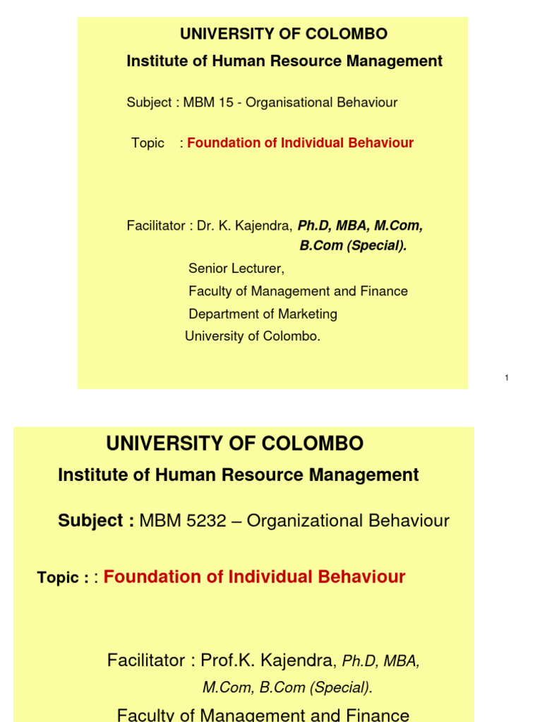 02 Foundation of Individual Behaviour | PDF | Behavior | Reason