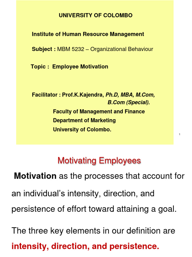 05 Employee Motivation | PDF | Motivational | Motivation
