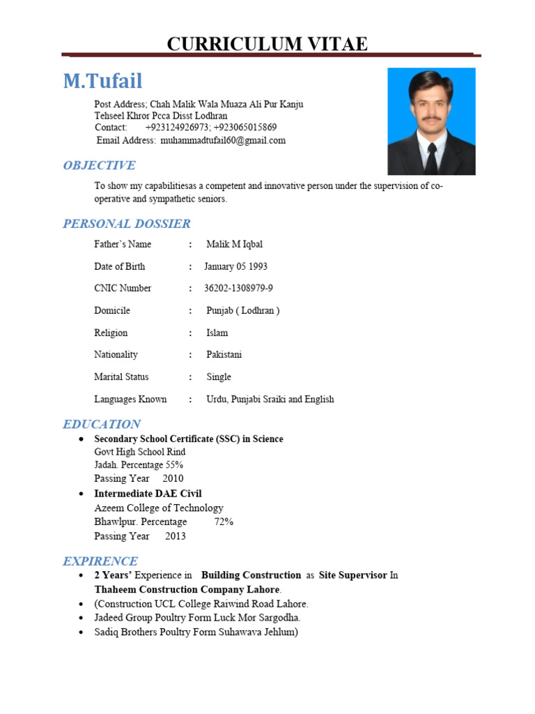 International CV 2 | PDF