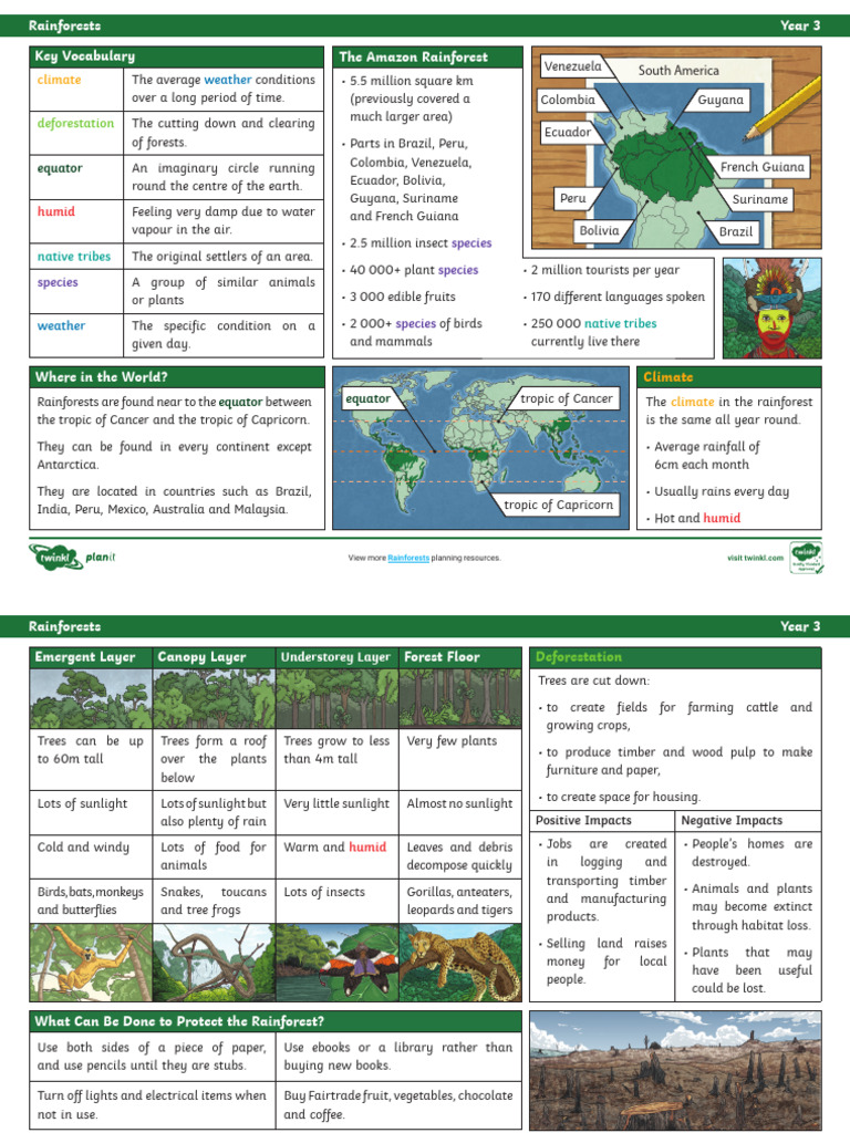 T G 701 Geography Knowledge Organiser Rainforests Y3 - Ver - 6 | PDF