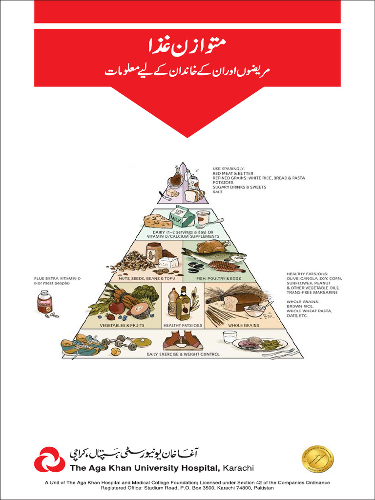 Balanced Diet Urdu | PDF
