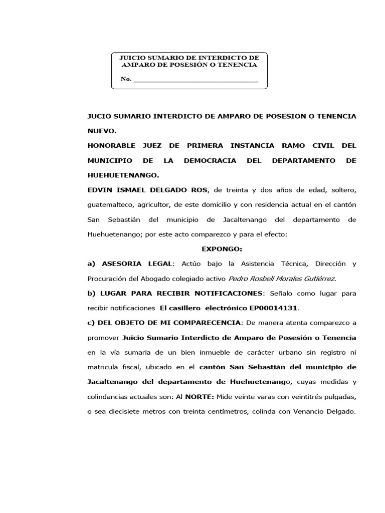 Interdicto de Amparo de Posecion | PDF | Posesión (Ley) | Propiedad