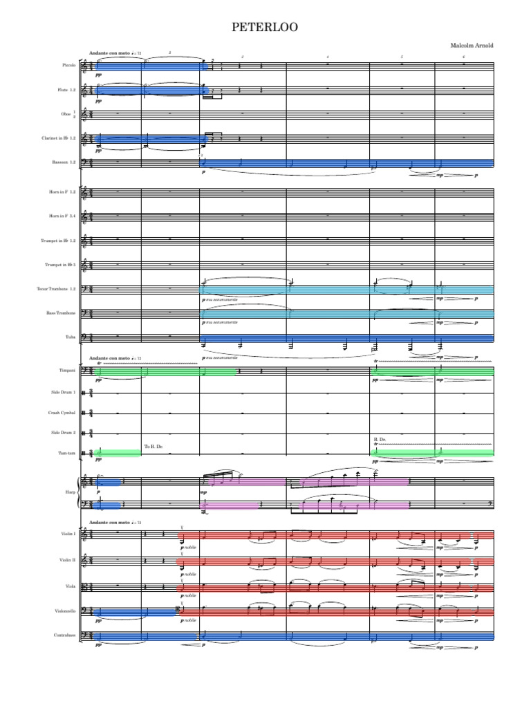 01 Peterloo Color | PDF | Pitch (música) | Elementos da música