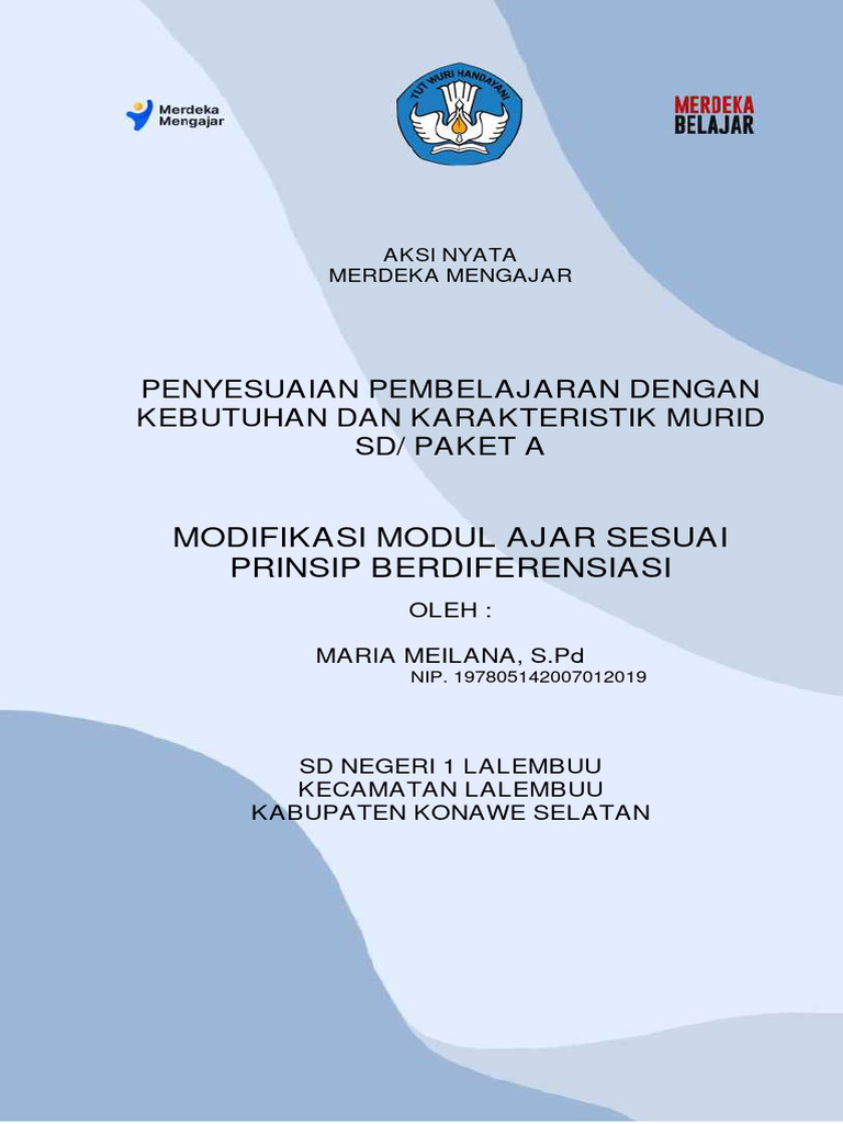 Modifikasi Modul Ajar Sesuai Prinsip Berdiferensiasi | PDF