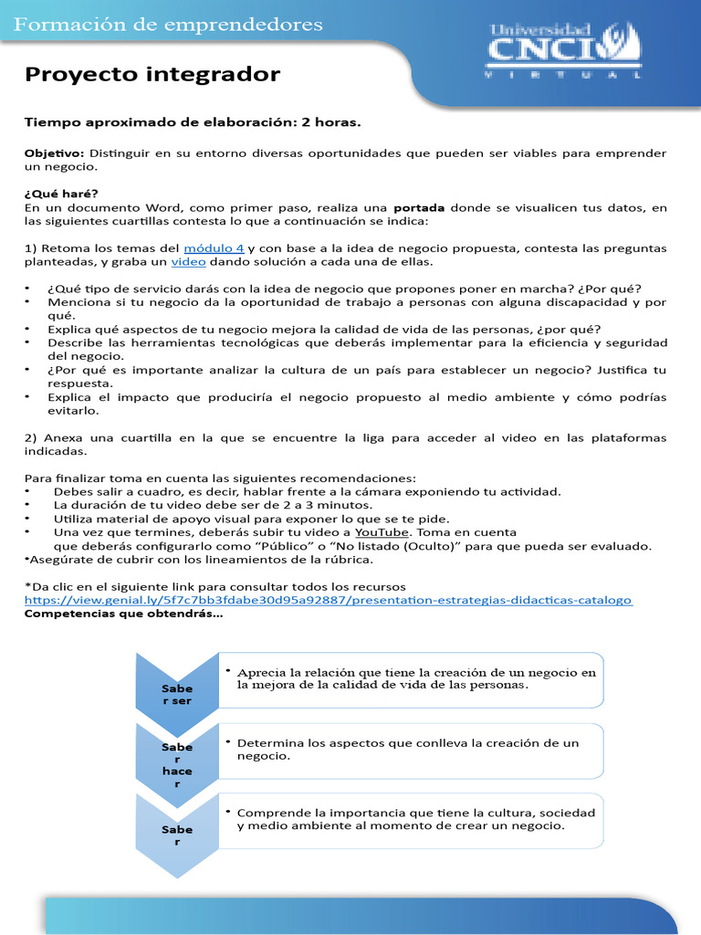 Proyecto Integrador | PDF