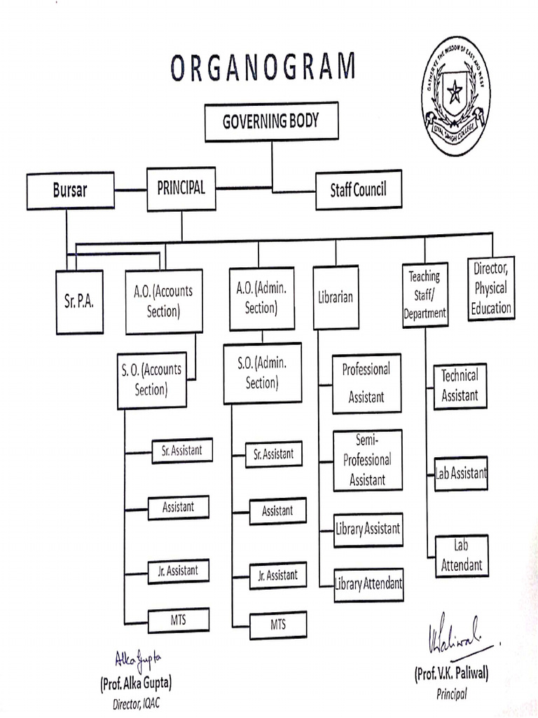 Organogram Final | PDF