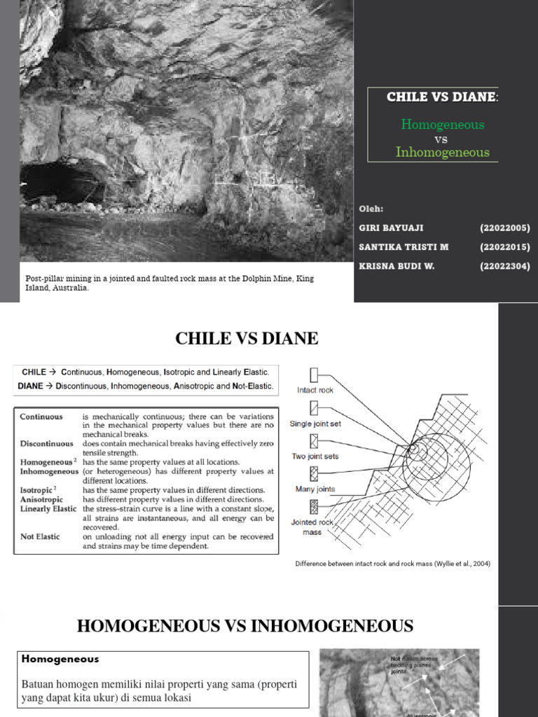 02 Tugas Kelompok Homogeneous Vs Inhomogeneous | PDF