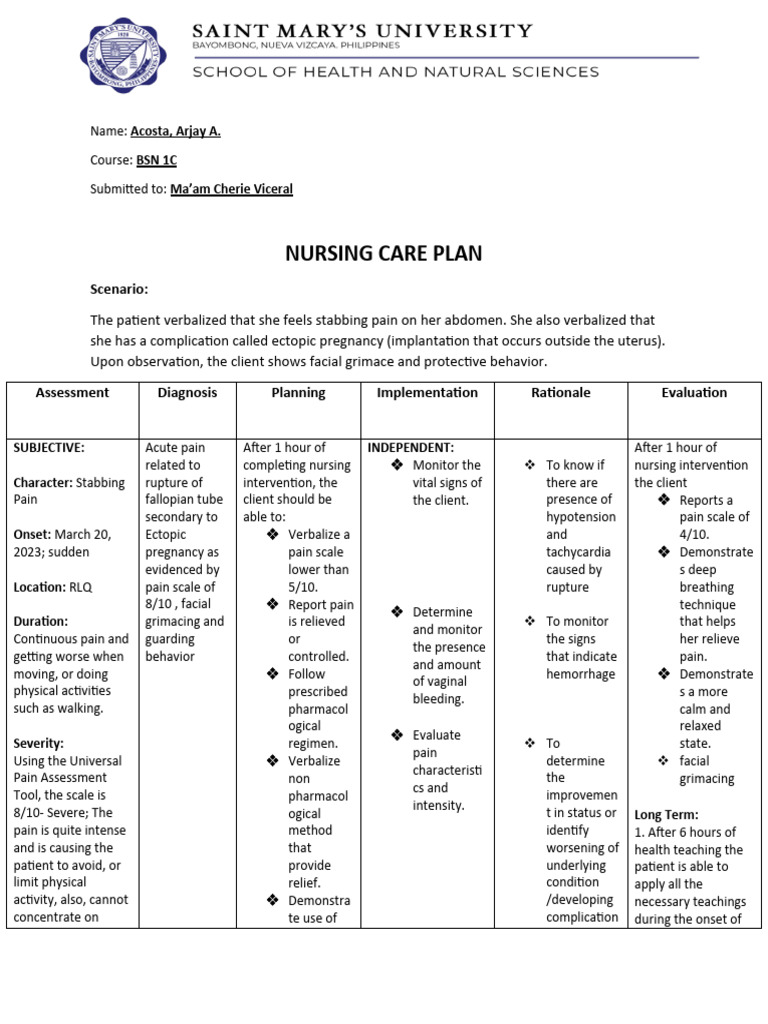 Nursing Care Plan | Download Free PDF | Pain | Health Sciences