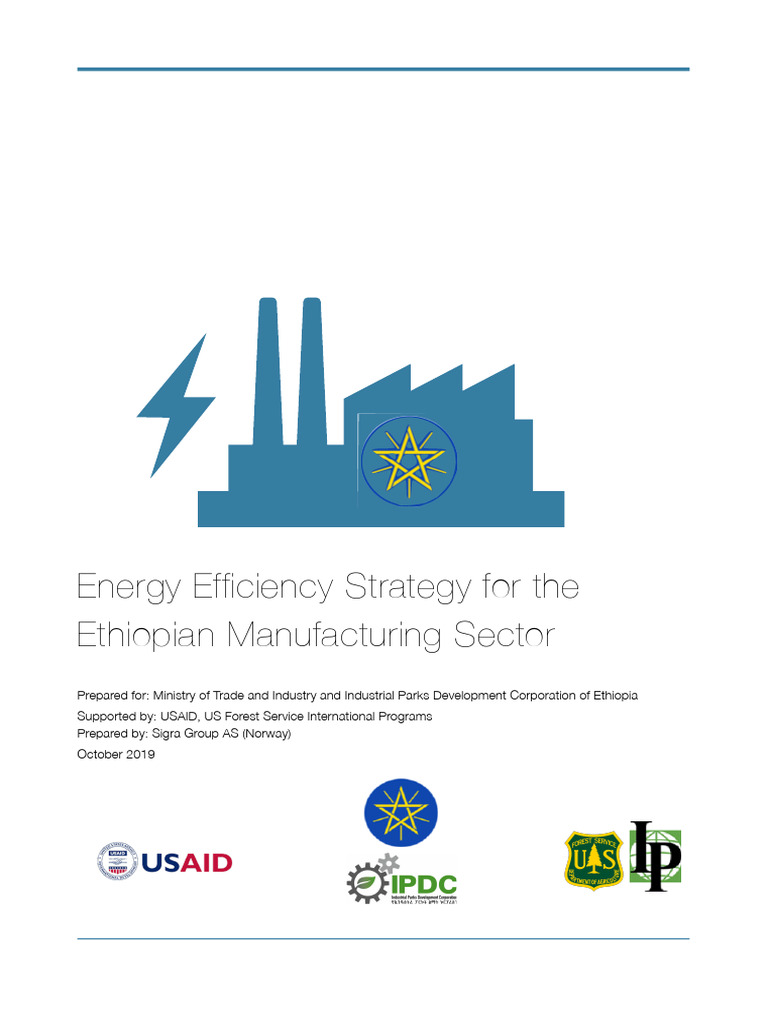 Energy Efficiency Strategy - FINAL | PDF | Efficient Energy Use ...