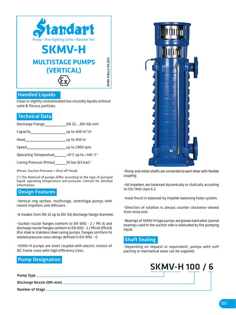 Vertical Multistage Pumps Guide | PDF