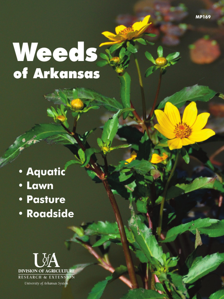 Weeds of Arkansas | PDF | Leaf | Perennial Plant