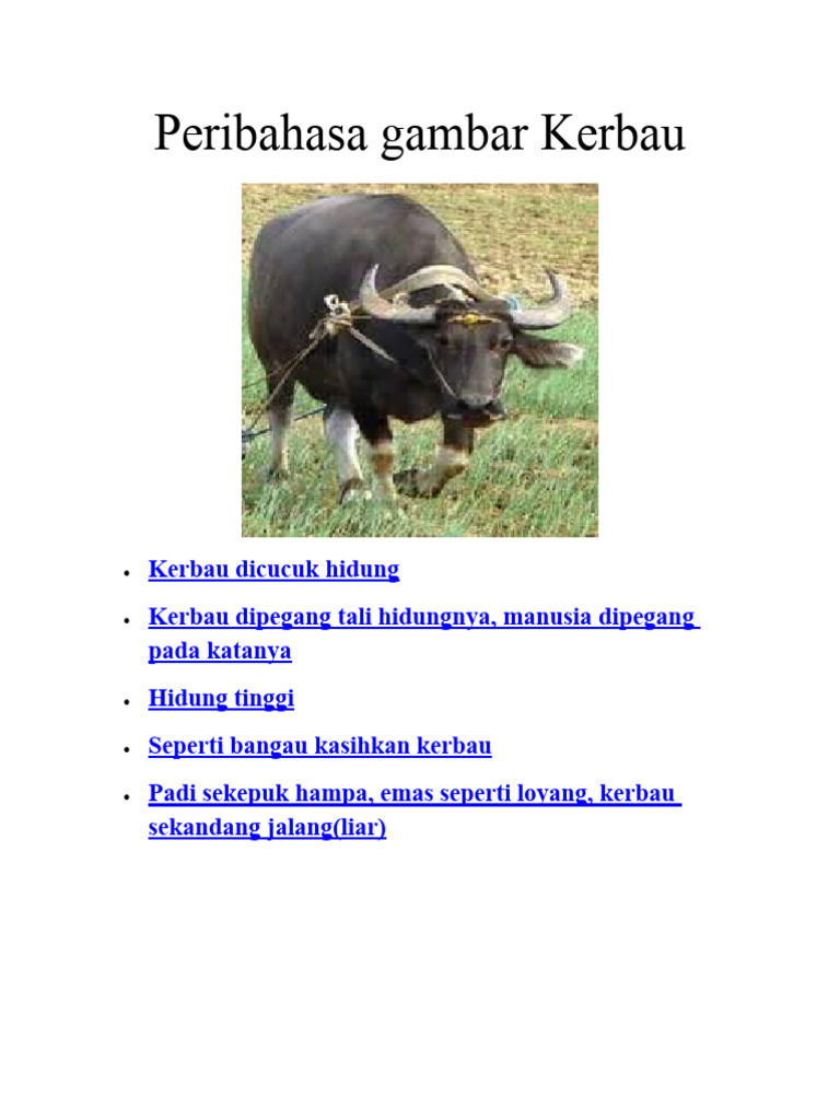 Peribahasa Gambar Kerbau | PDF