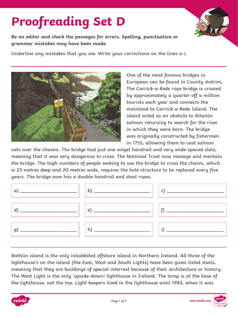 Ni L 1670172638 Proofreading Set D Activity Sheets - Ver - 4 | PDF