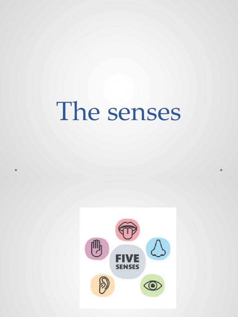 Senses | PDF