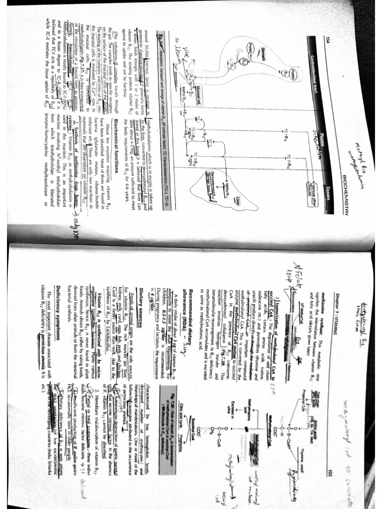B 12 | PDF