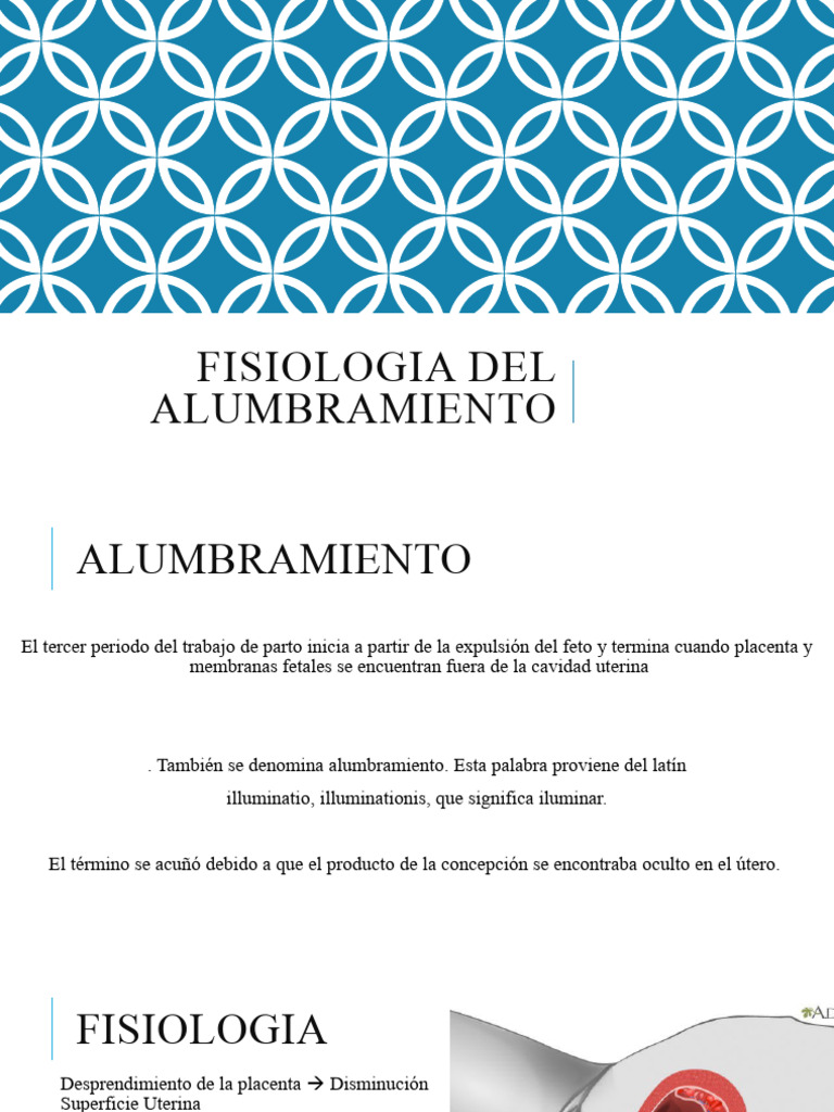 Fisiologia Del Alumbramiento | PDF | Parto | Placenta