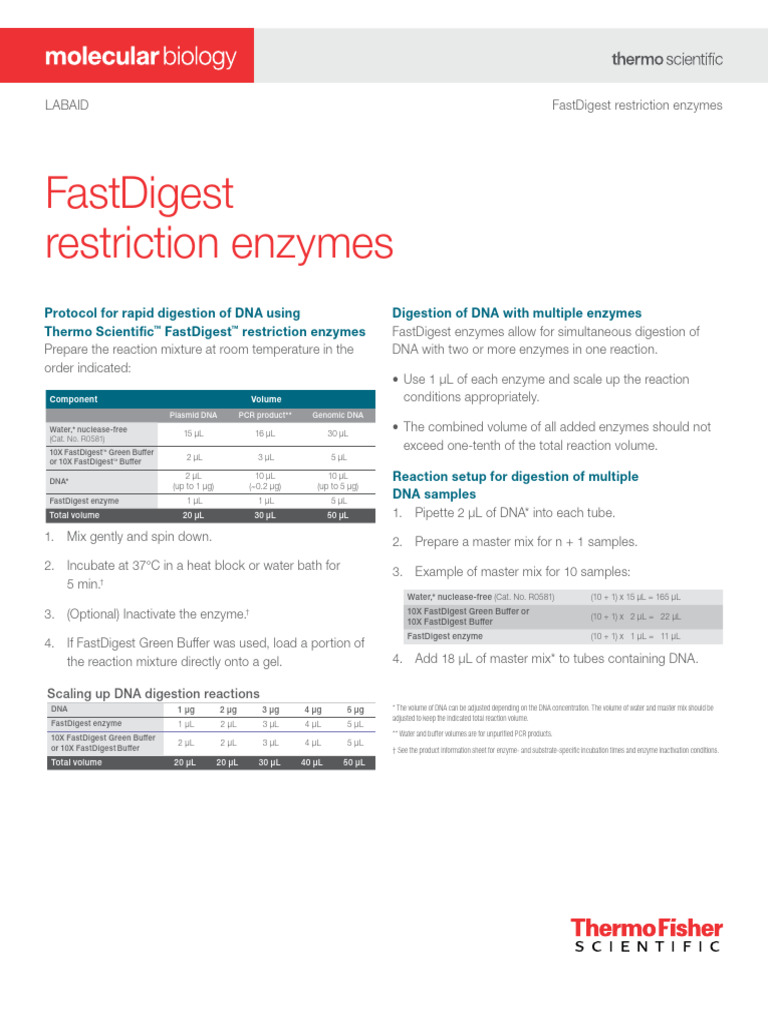 Fastdigest Restriction Enzymes Labaid | PDF | Polymerase Chain Reaction ...
