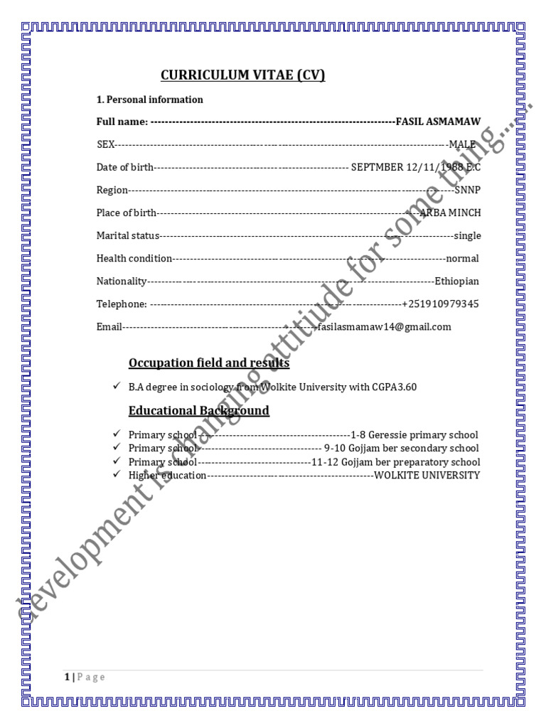Fasil CV | PDF