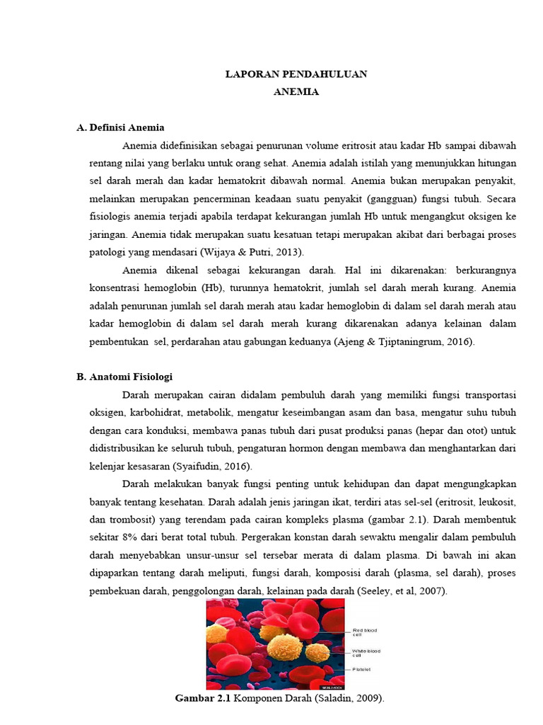 LP Dan Askep Anemia | PDF