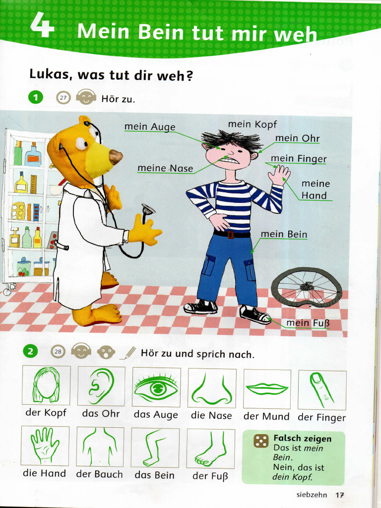 Bruno Und Ich 2 Lektion 4 | PDF