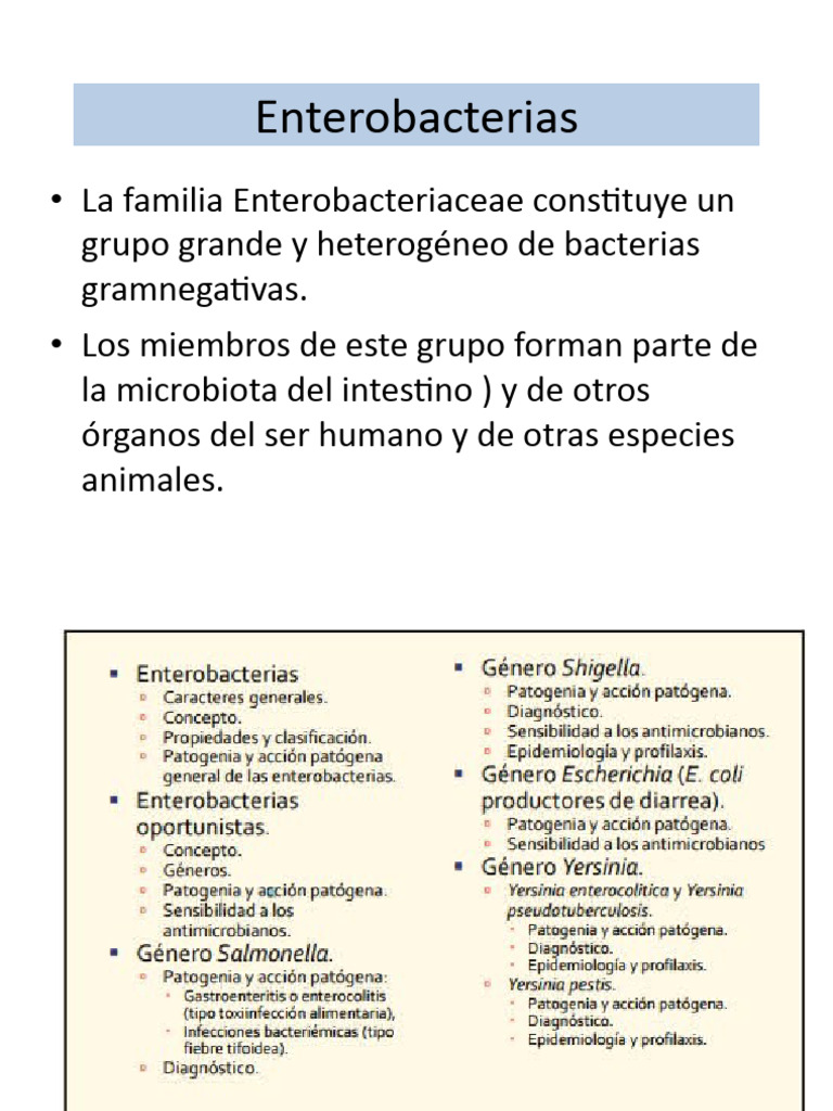 Enterobacterias | PDF