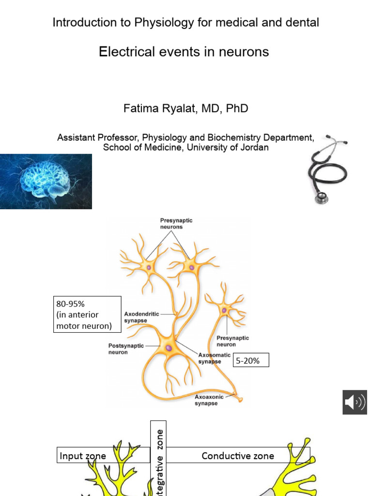 Neural Signaling Med 1 Pdf Inhibitory Postsynaptic Potential Chemical Synapse