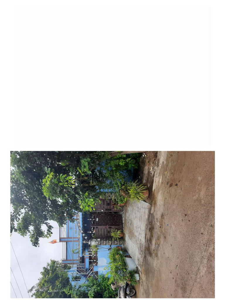 Ancilary Studies | PDF