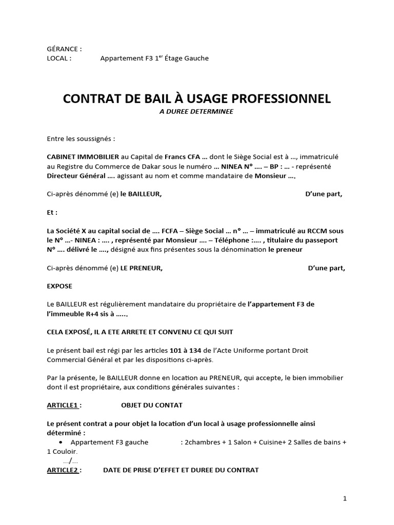 Contrat de Bail À Usage Professionnel | PDF