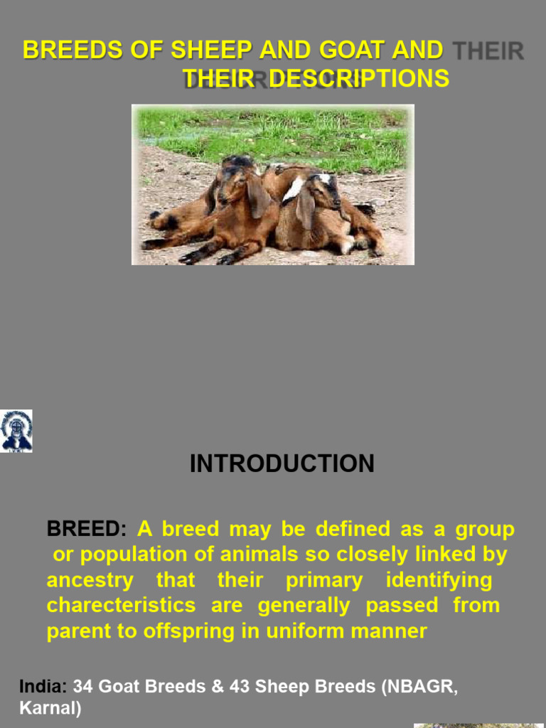 LPM-Unit III-6 Breeds of Sheep and Goats | PDF | Sheep | Wool