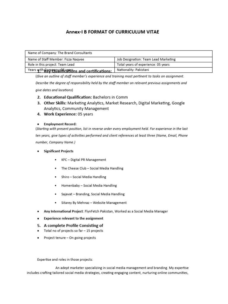 CVs Format | PDF | Social Media | Popular Culture & Media Studies