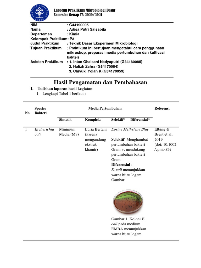 Fundamental Microbiology Report 4 | PDF