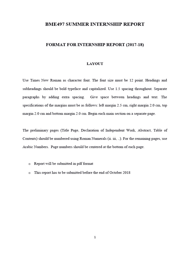 BME Internship Report Guide | PDF | Art