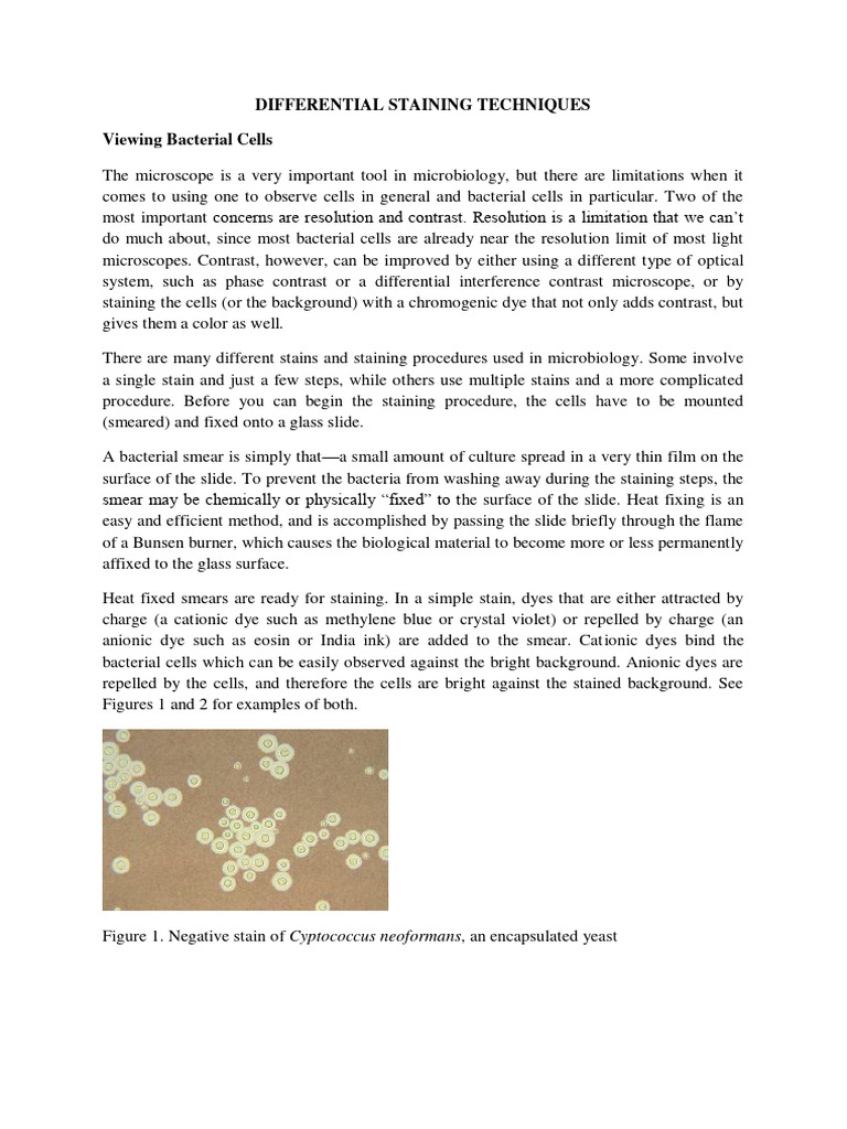 Differential Staining Techniques in Microbiology | PDF | Staining ...