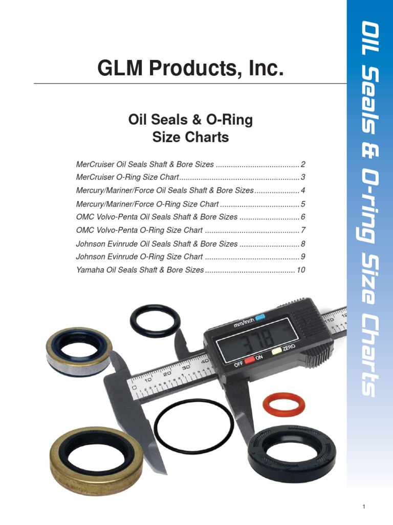 OilSeal-Oring SizeCharts | PDF