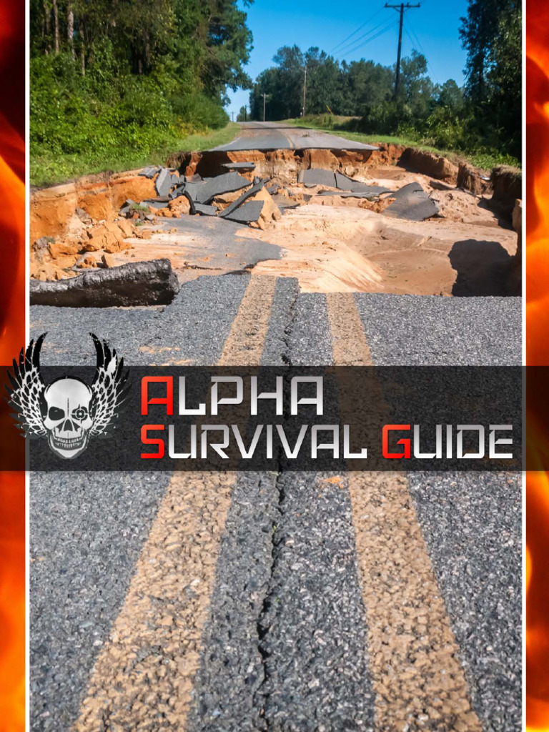 Alpha Survival Guide | PDF