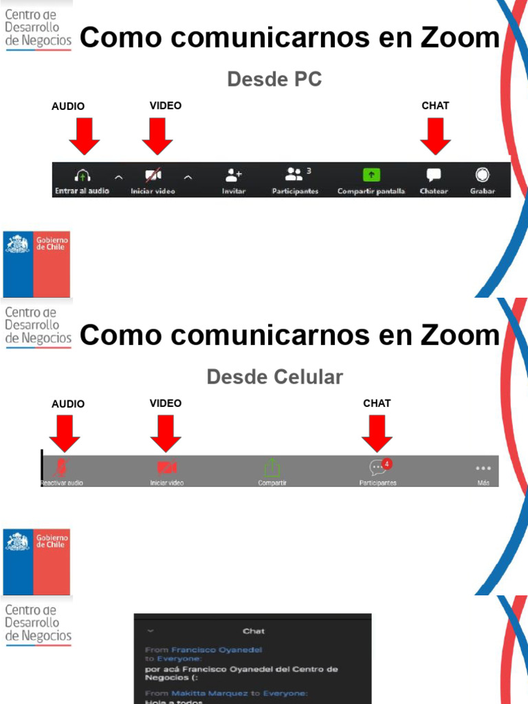 Taller Elevator Pitch (ZOOM) | PDF | Chat en linea | Comunicación