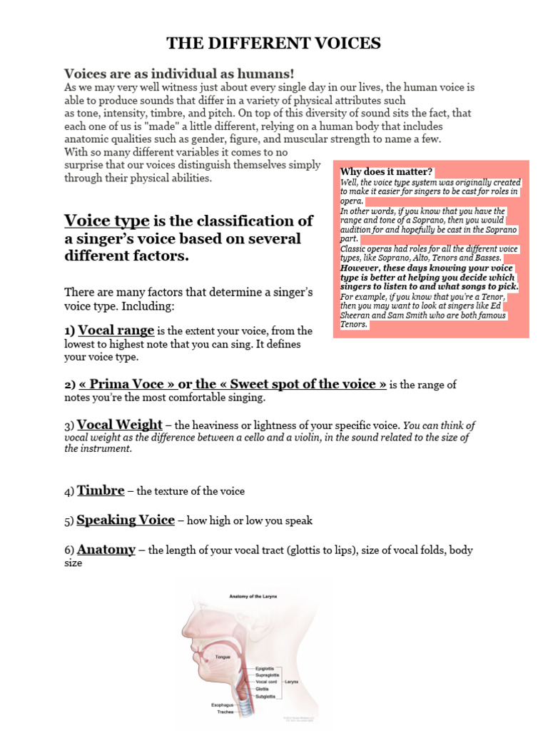 Voice Types | PDF | Human Voice | Singing