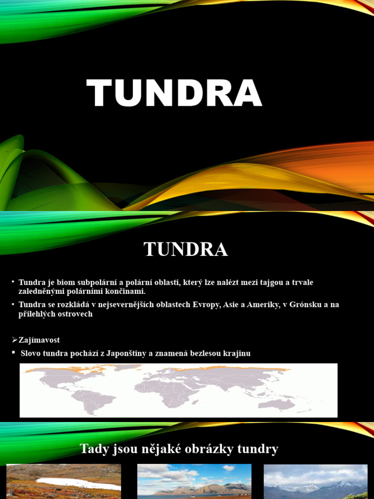 Tundra Zeměpis | PDF