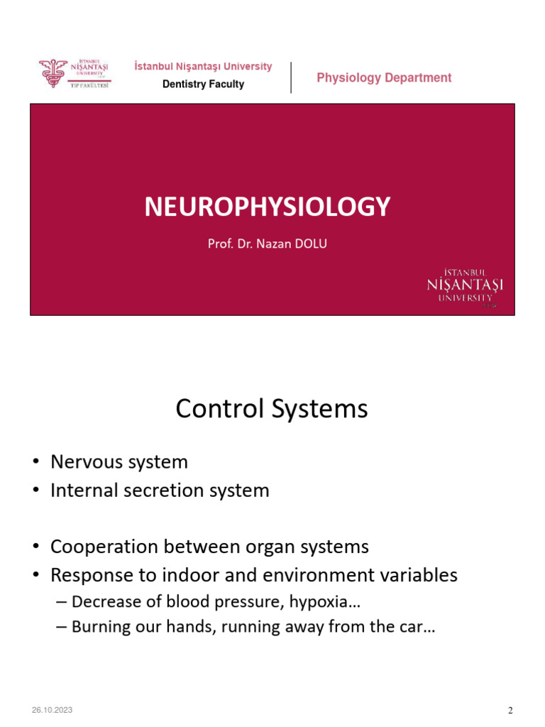 1 Neurophysiology | PDF | Nervous System | Neuron