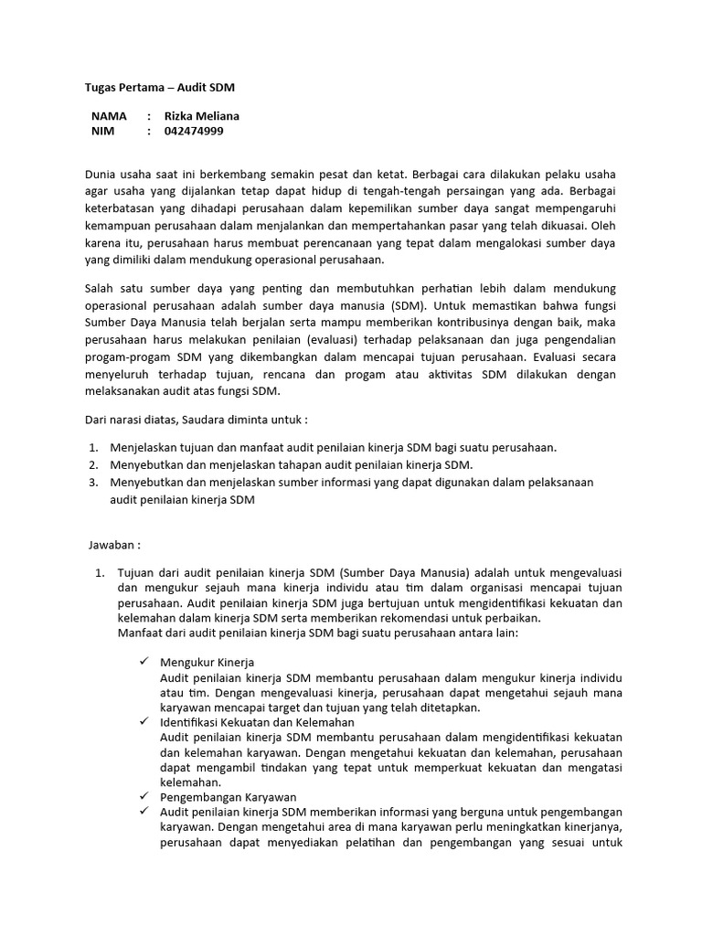 Audit SDM: Meningkatkan Kinerja Karyawan | PDF | Bisnis
