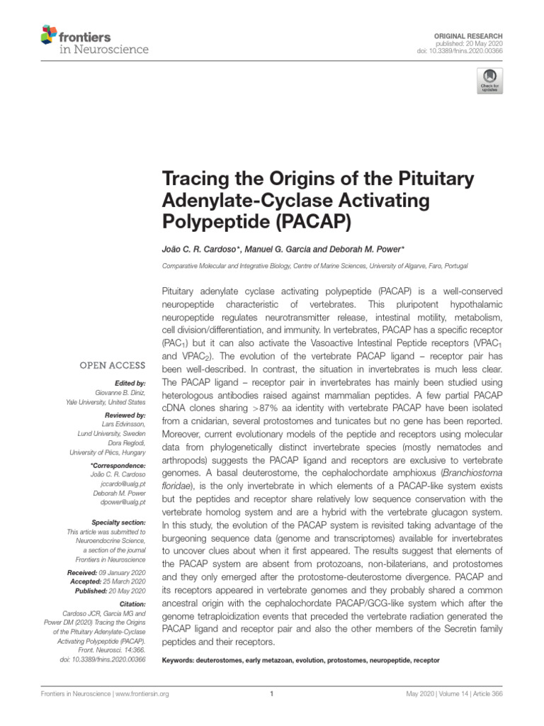 Tracing The Origins of The Pituitary Adenylate-Cyclase Activating ...