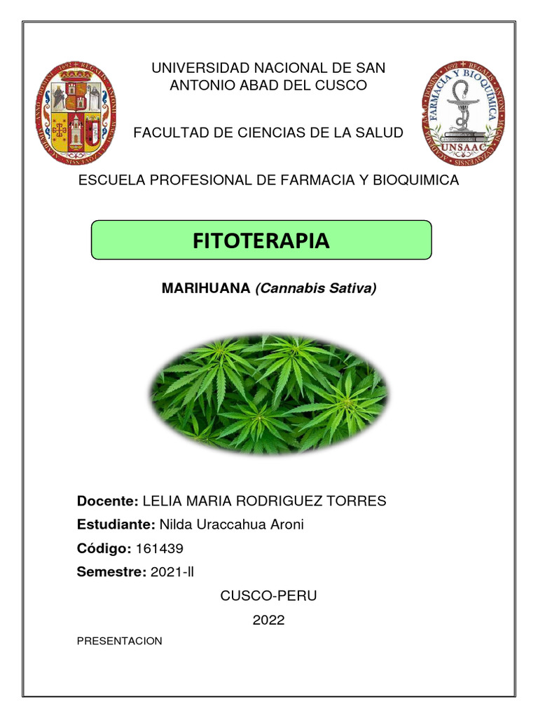 Cannabis Sativa | PDF | Cannabis (Droga) | Tetrahidrocannabinol