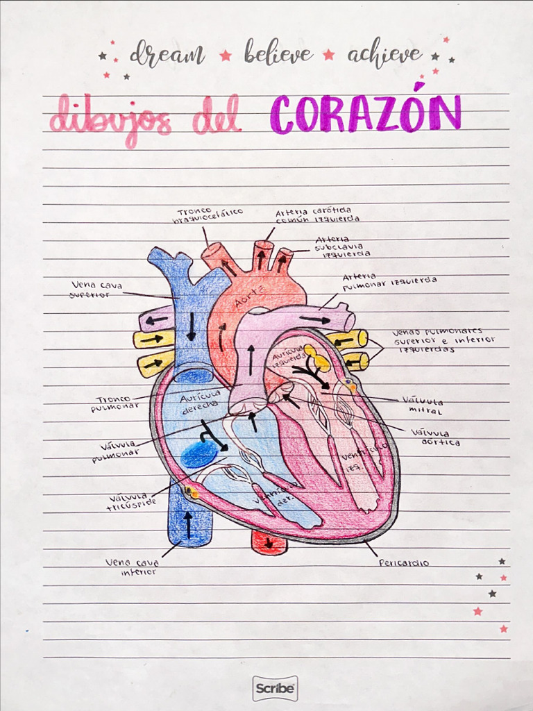 Dibujos del corazón | PDF