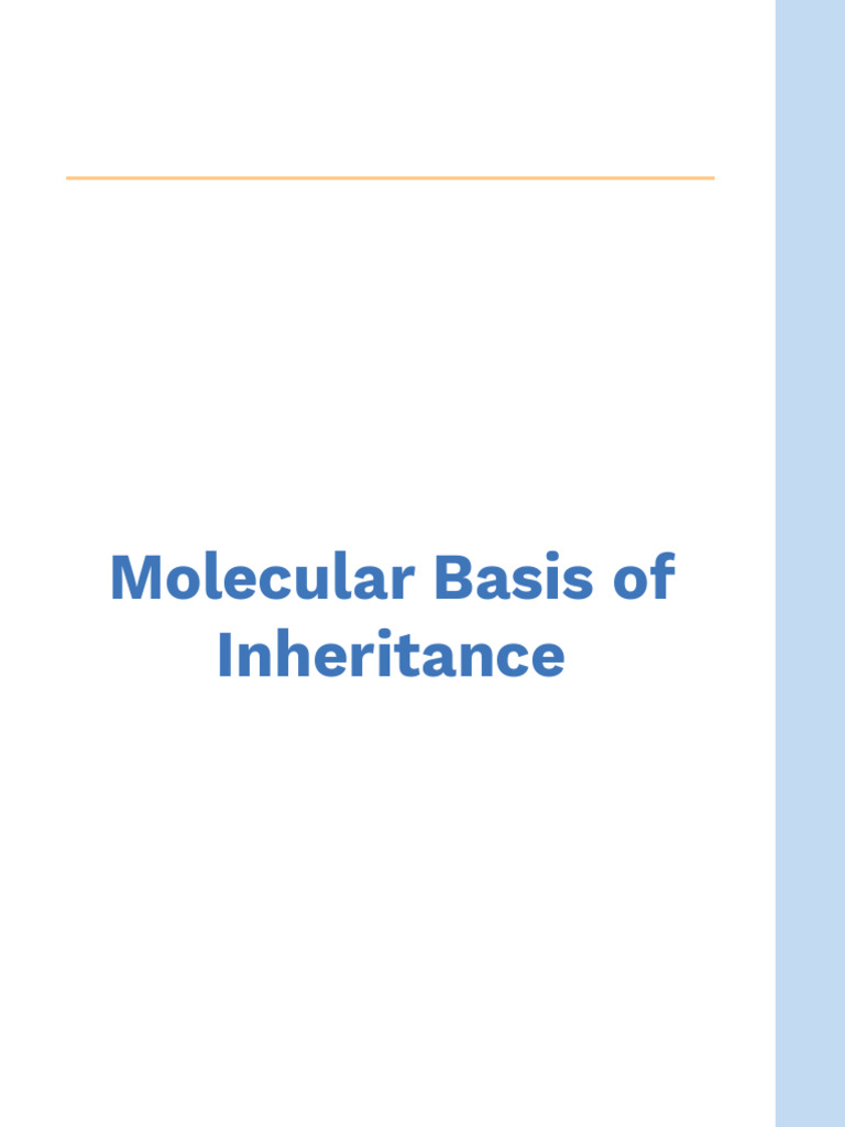 MOLECULAR BASIS OF INHERITANCE NOTES Min | PDF | Dna | Rna