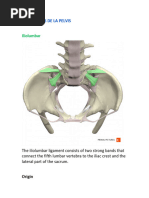 Ligaments of The Female Reproductive Tract - TeachMeAnatomy | PDF ...
